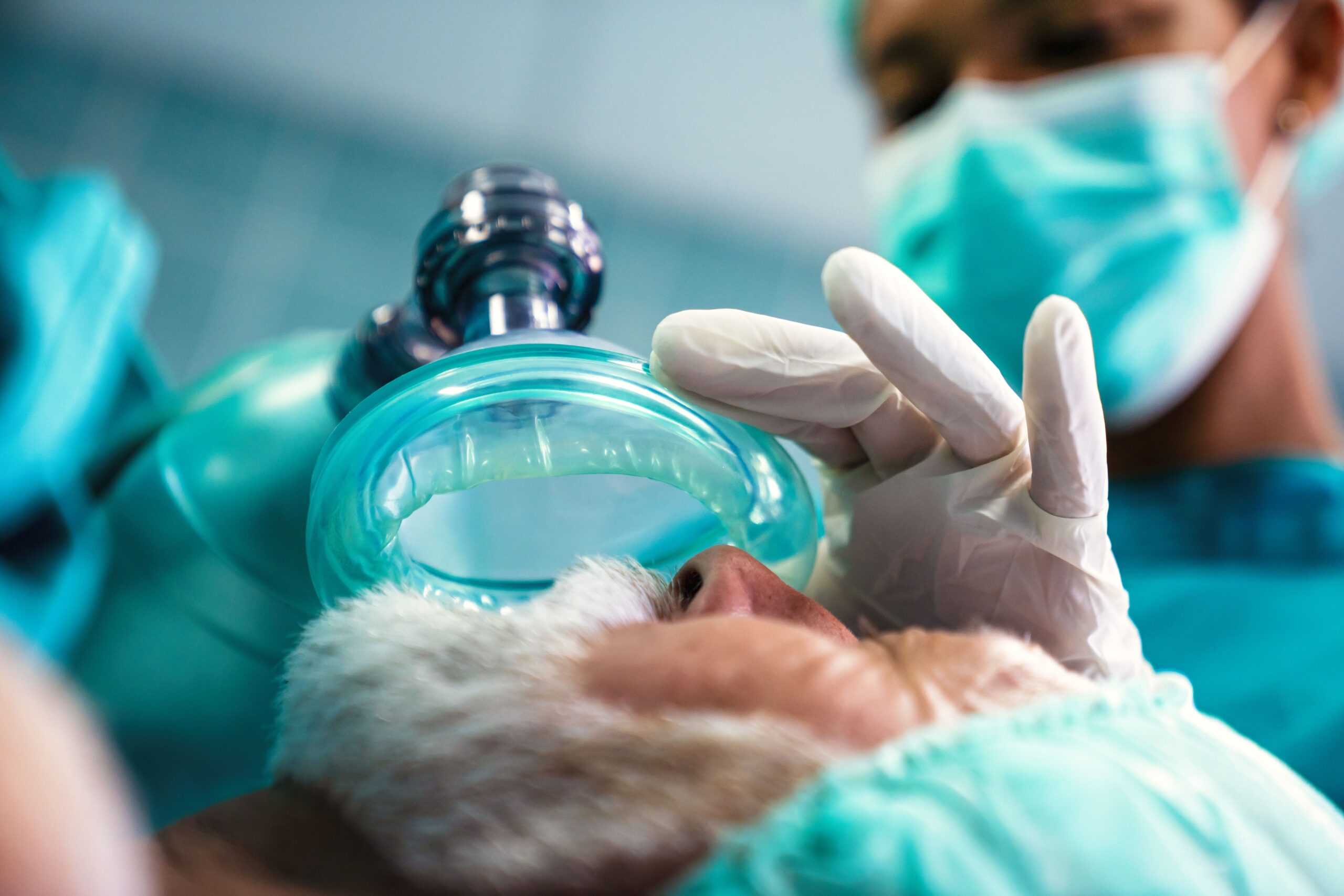 Urologic Surgery – Urologic Conditions – Skilled Houston Urologists